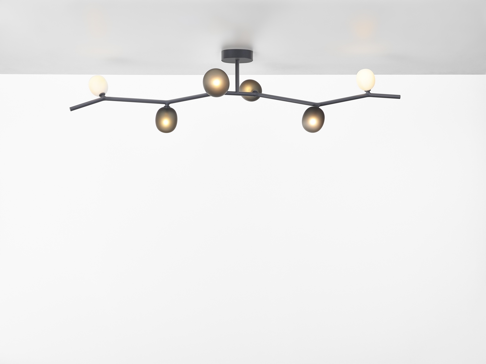 IVY CEILING | Hundred Mile Home New York