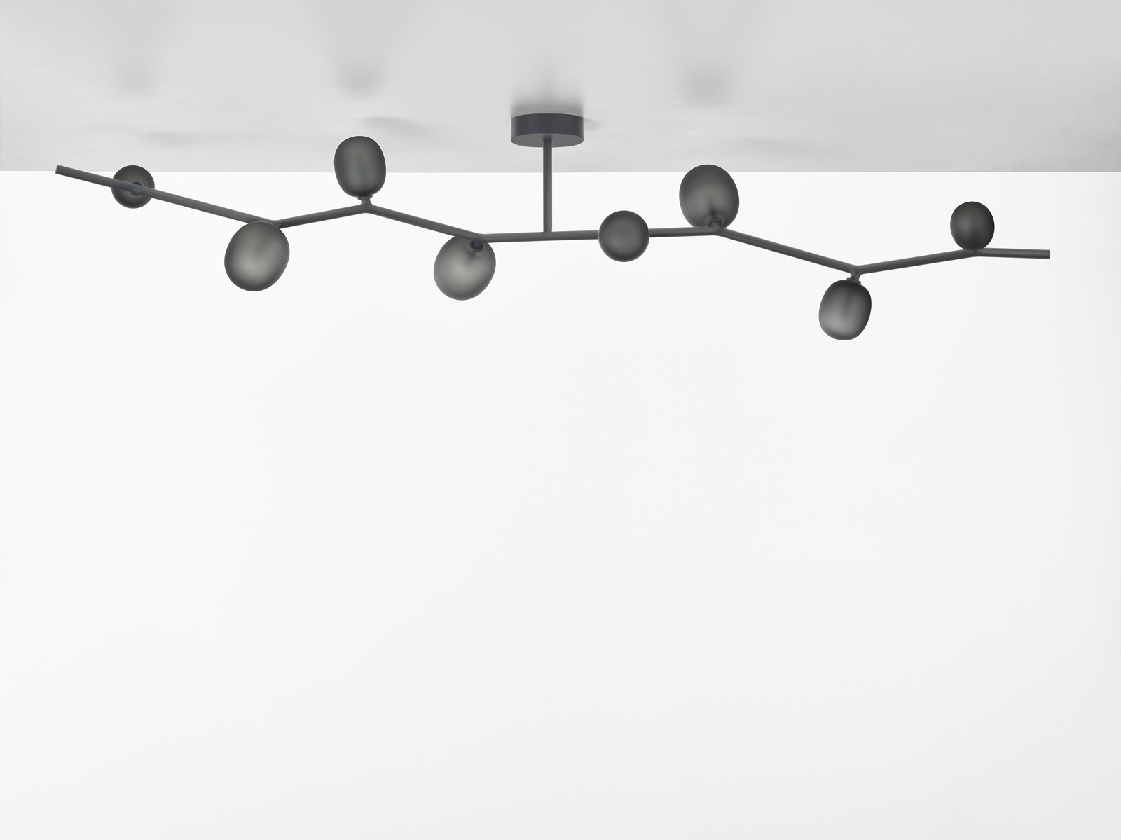 IVY CEILING | Hundred Mile Home New York